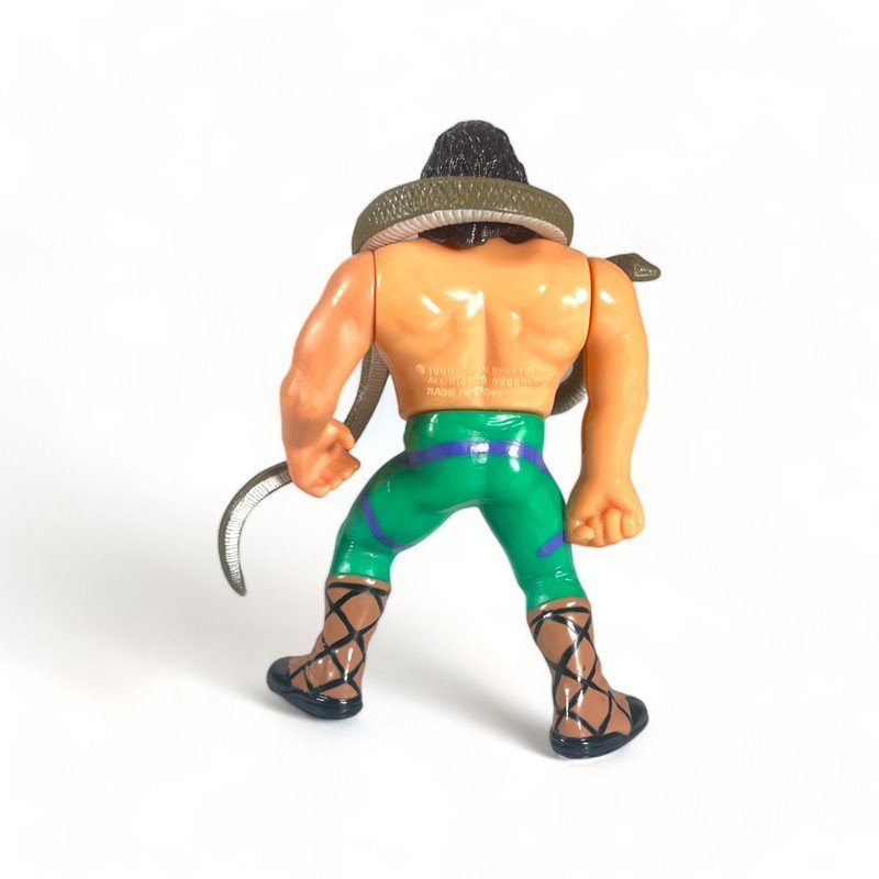 De Toyboys | WWF - Jake The Snake Roberts With Damien