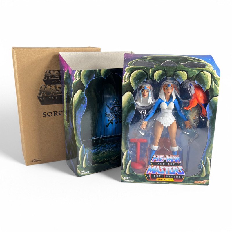 MOTU: Club Grayskull - Sorceress (Filmation, Online Exclusive) MIB ...